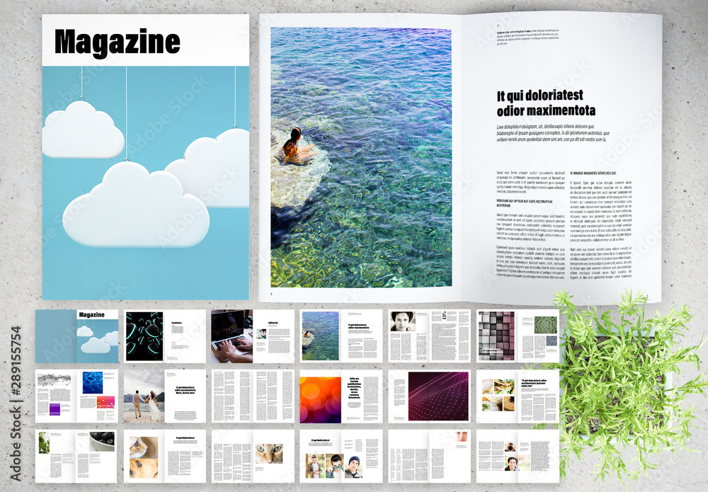 Minimalist Magazine Layout Stock Template | Adobe Stock