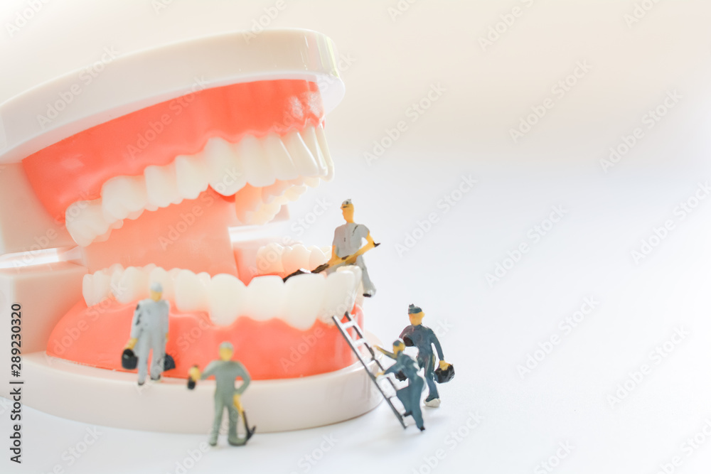 Miniature people, small model human figure clean model teeth with copy ...