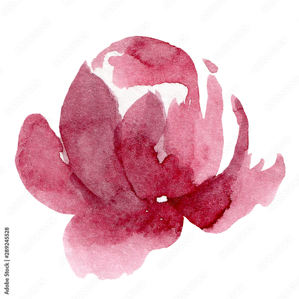 Pink single flower, watercolor floral illustration, decoration for ...