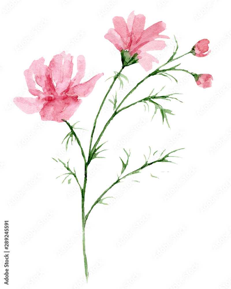 Watercolor Single Flower