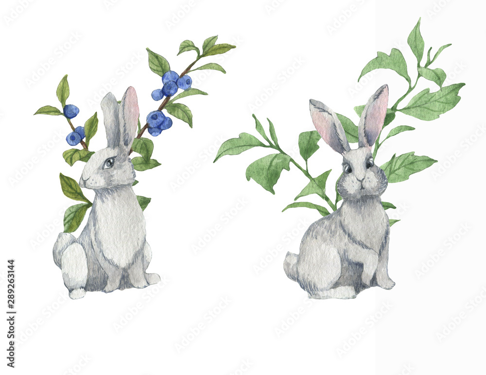 Hand drawn watercolor isolated illustration of two grey rabbits sitting ...