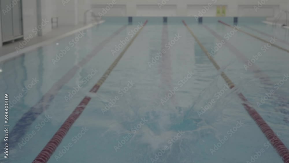 Vidéo Stock Professional sporty male swimmer jumping off into the ...