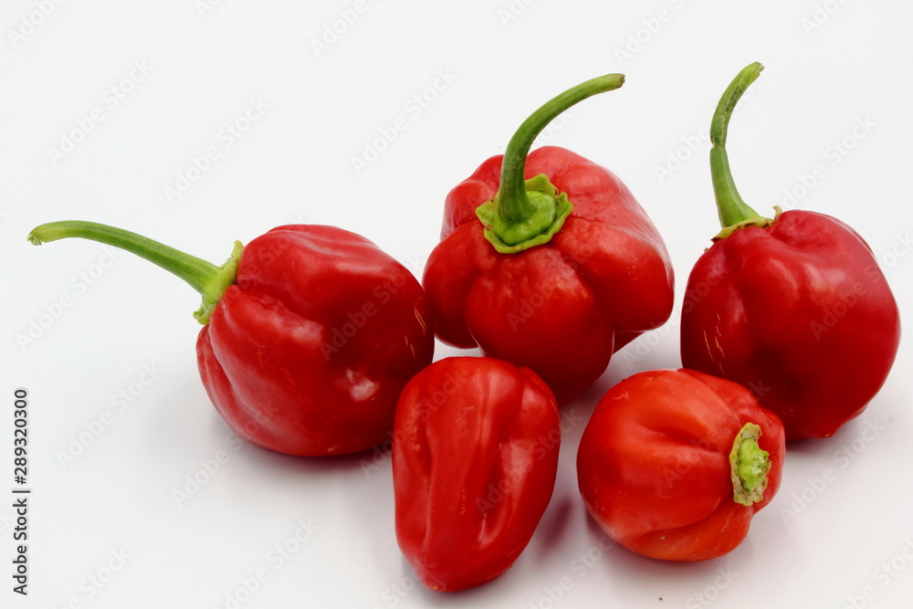Scotch Bonnets Stock Photo | Adobe Stock