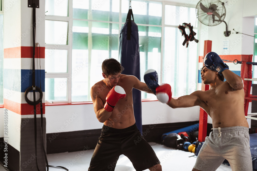 Male boxers in a boxing gym Stock Photo | Adobe Stock