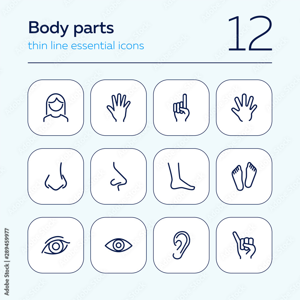 Body parts line icon set. Hand, nose, foot. Body care concept. Can be ...