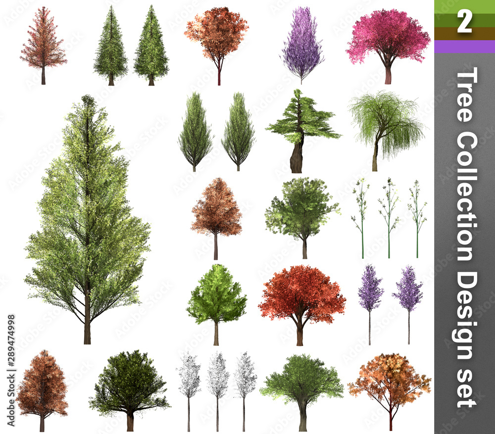 Tree correction design set. 3D Illustration. White background isolate ...