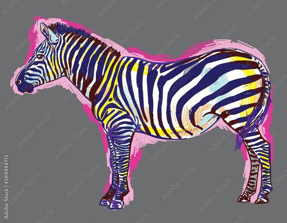 Zebra Outline Printable