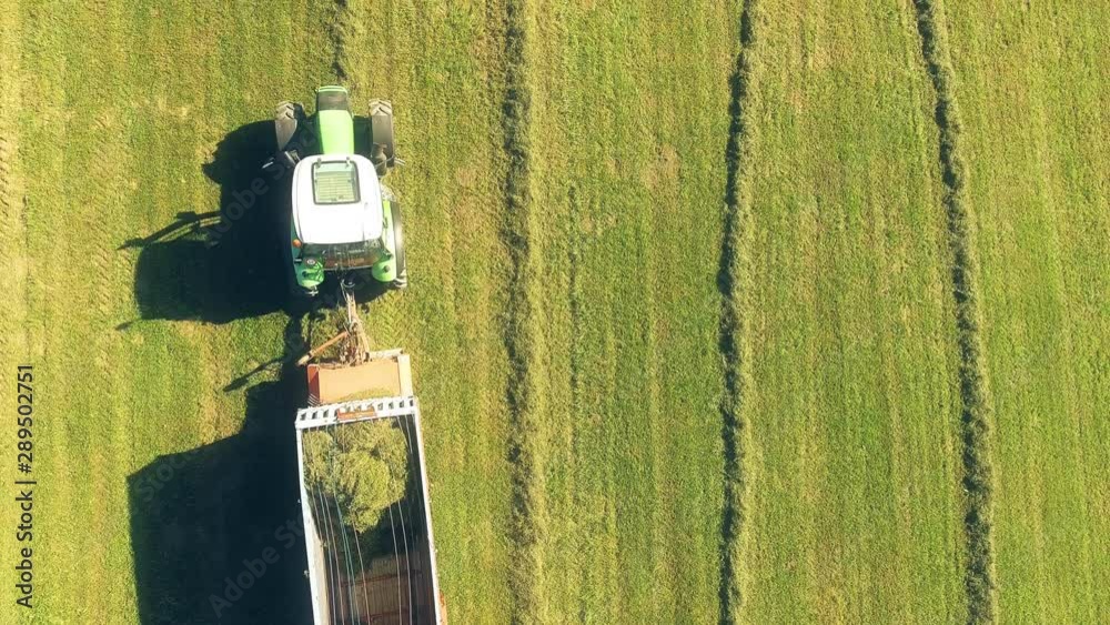 Aerial above tractor and silage trailer loading grass 4K. Top view ...