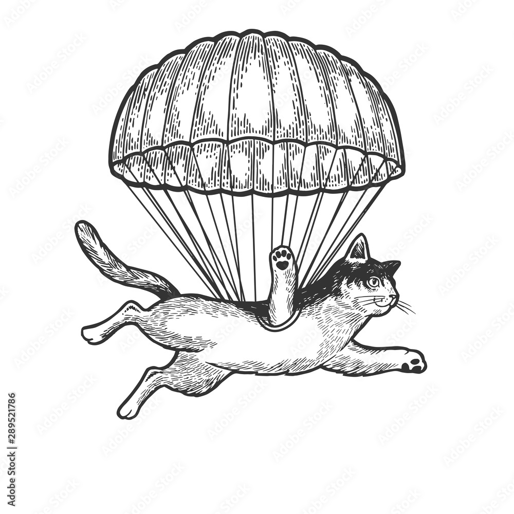Cat animal flies with parachute as paratrooper sketch engraving vector ...