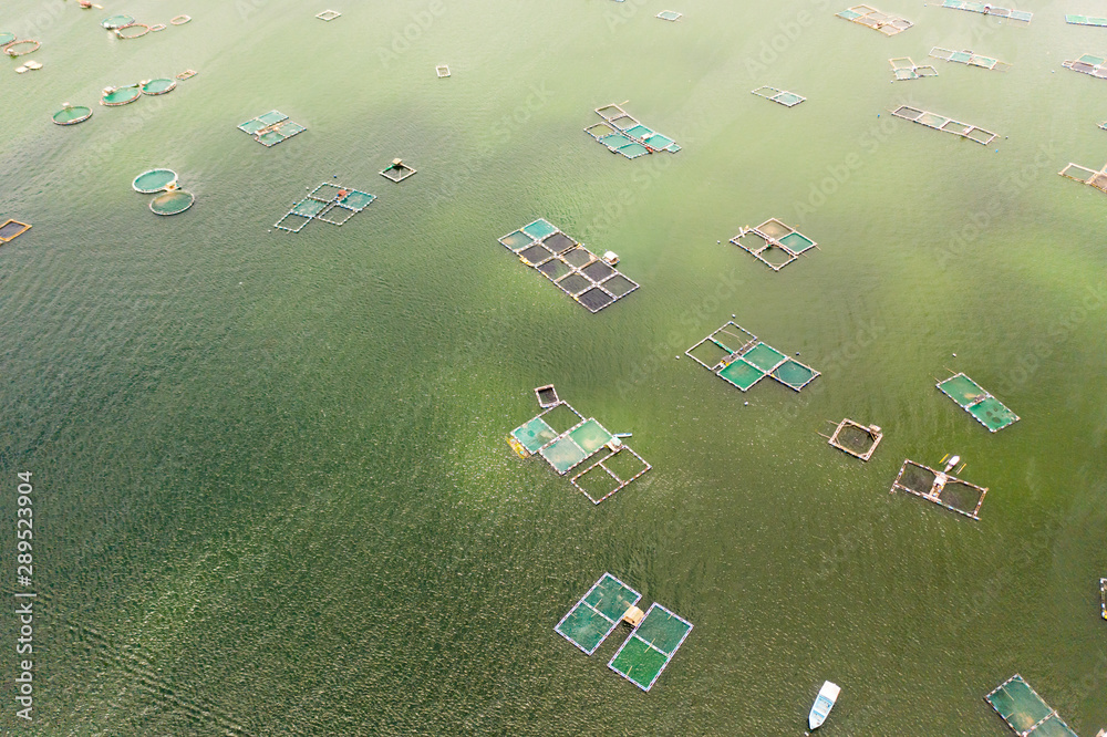 Fish farm with cages for fish and shrimp on the lake Taal, top view ...