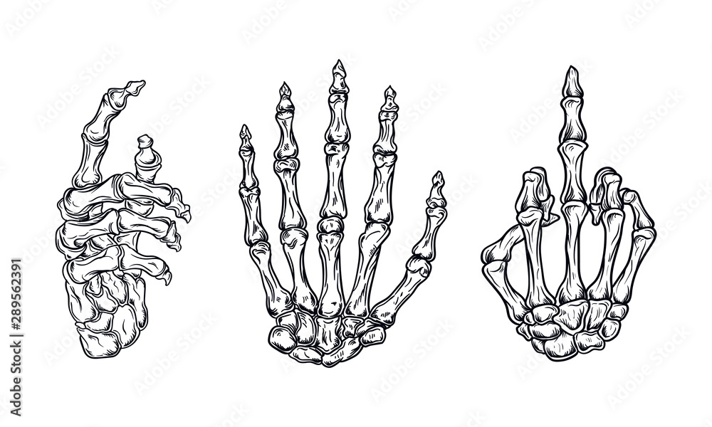 hand bones set vector illustration with vintage style outline Stock ...