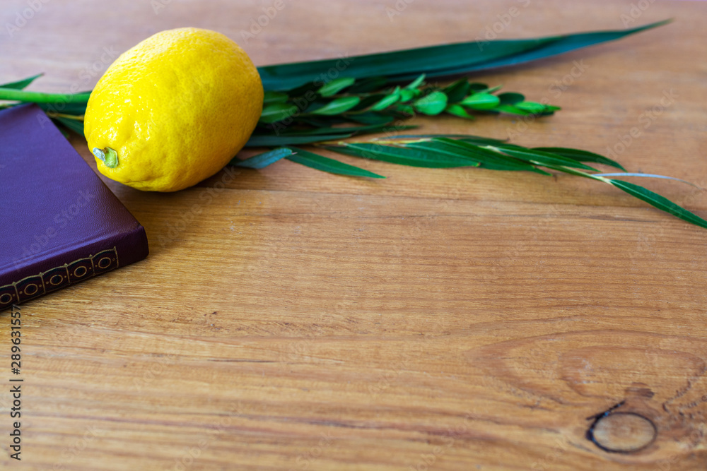 Symbols of jewish fall festival of Sukkot, lulav - etrog, palm branch ...