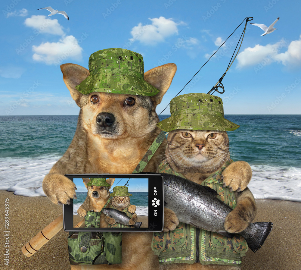 The dog fisher with a smartphone is hugging the cat with a caught fish ...