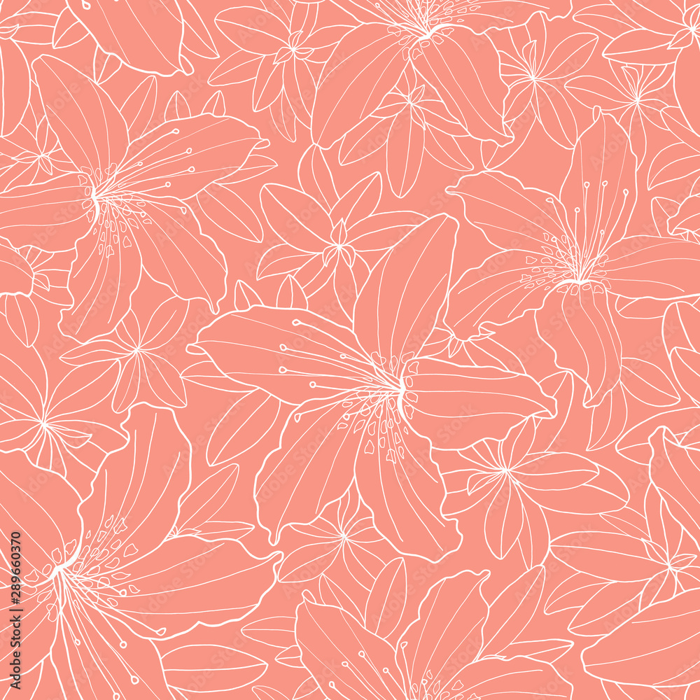 Peach Color Background Flowers
