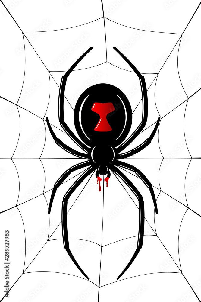 Spider Black Widow, cobweb. Red black spider 3D, spiderweb, isolated ...