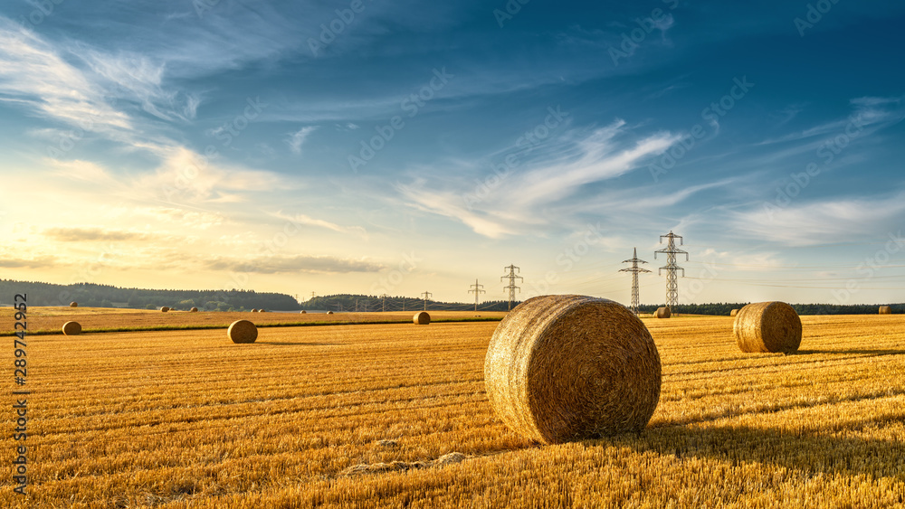 Hay bales on golden agriculture field. Sunny landscape with round straw ...