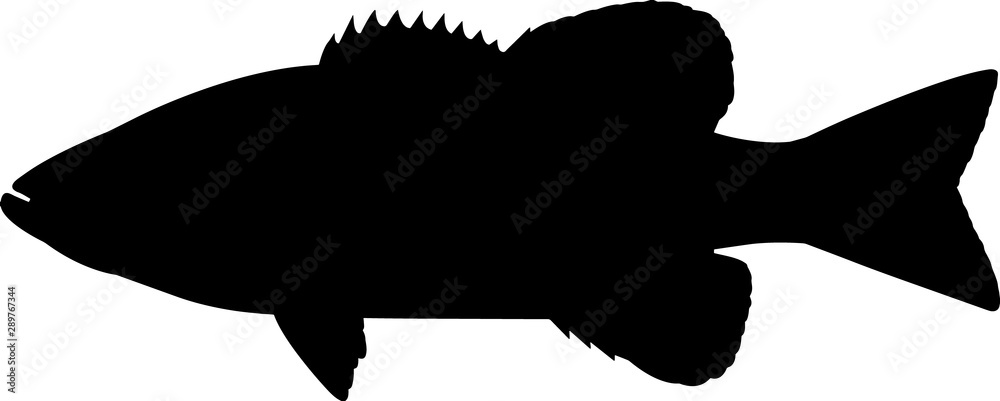 Smallmouth Bass Fish Silhouette Vector Stock Vector | Adobe Stock