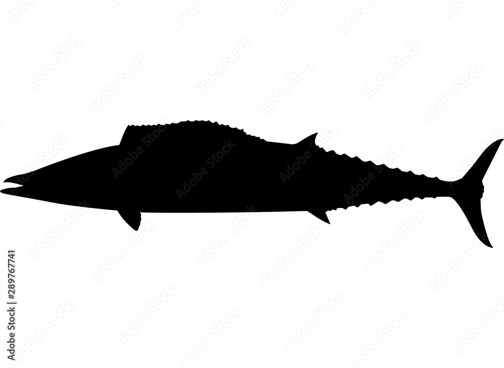 Wahoo Fish Silhouette Vector Stock Vector | Adobe Stock