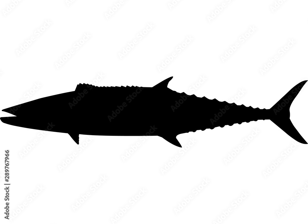 Kingfish Fish Silhouette Vector Stock Vector | Adobe Stock