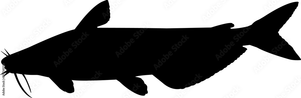 Blue Catfish Fish Silhouette Vector Stock Vector | Adobe Stock
