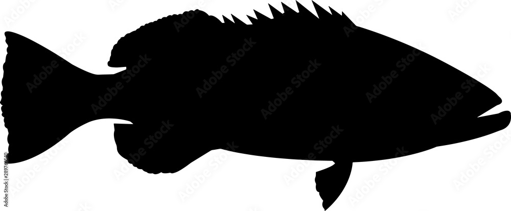 Black Grouper Fish Silhouette Vector Stock Vector | Adobe Stock