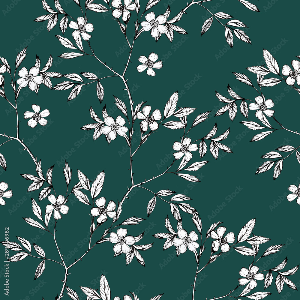Botanical drawing flowers cosmos pattern. Seamless flower pattern ...