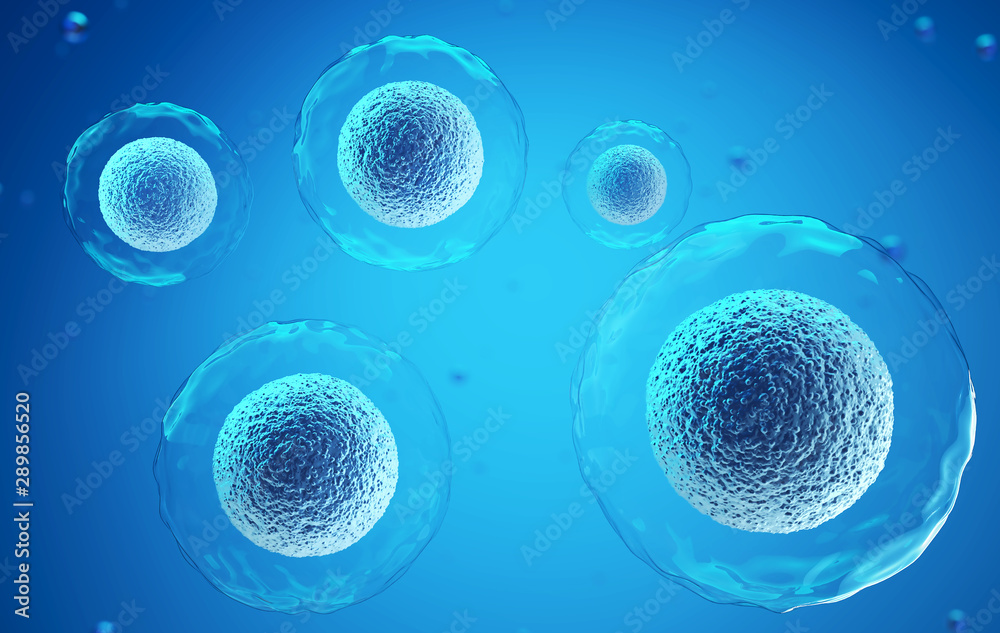 Human Cell Background