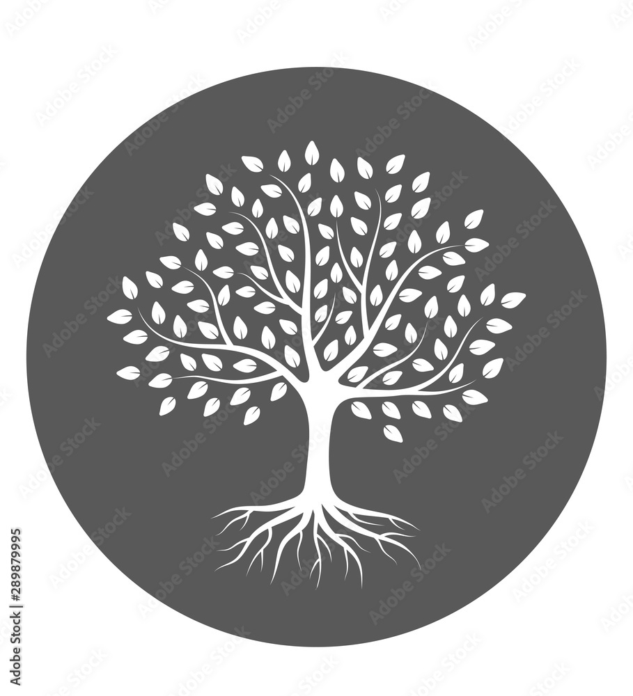 Tree Silhouette Roots Circle
