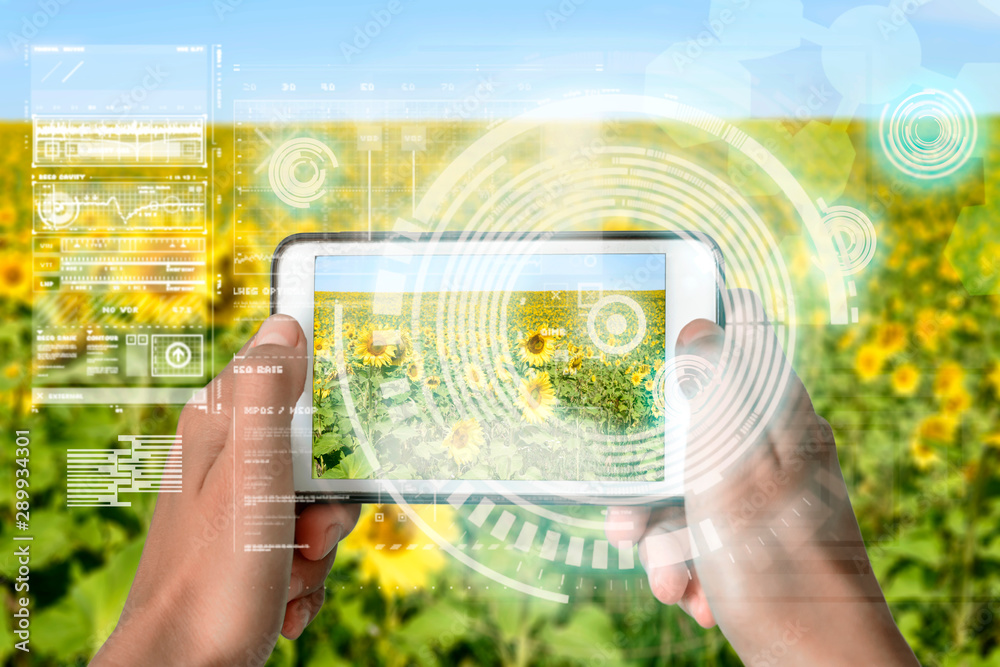 Augmented Reality device using smart technology, mixing virtual and ...