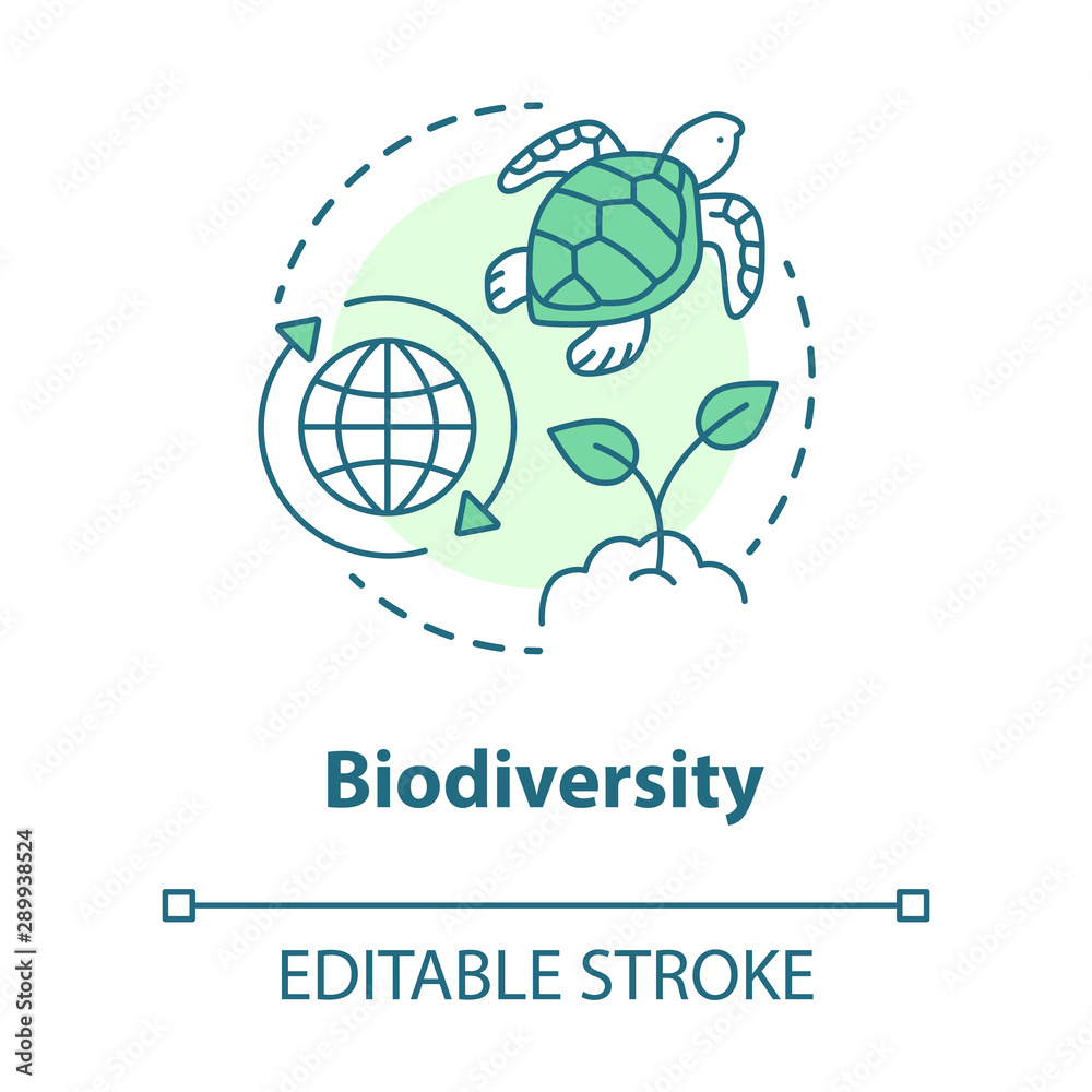 Biodiversity concept icon. Natural ecosystem protection idea thin line ...