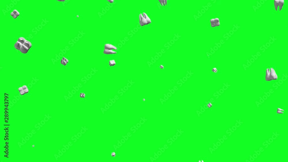 Rain teeth on green screen. Molars falling on chroma key. Tooth ...