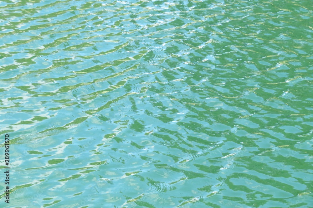 Green water texture background on Florida lake Stock Photo | Adobe Stock