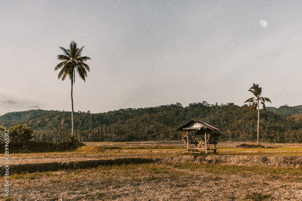 Fotka „Amazing Landscape Photo of a Small Nipa Hut House on a Rice ...
