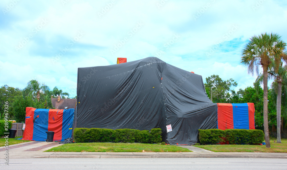 Tented large two story house with palm trees in the yard that is tented ...