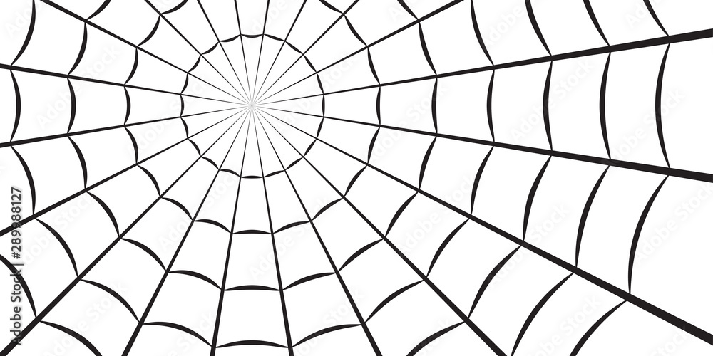 Spider web or cobweb. Halloween net background. Vector illustration ...