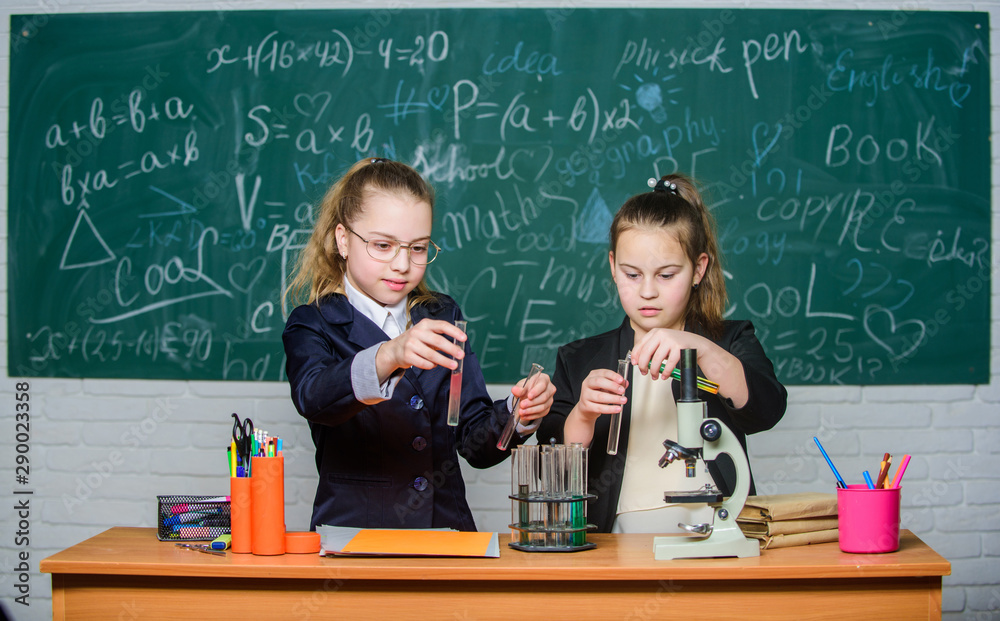 School project investigation. School experiment. Science concept ...