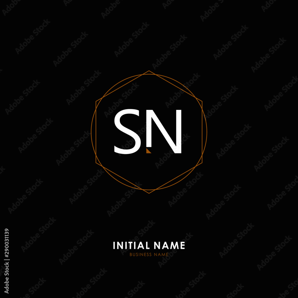 S N SN Initial logo letter with minimalist concept. Vector with ...