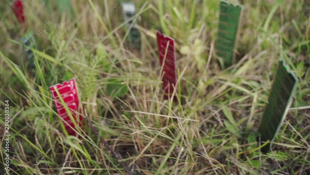 Technology blending with nature. Futuristic concept of farm or e-waste ...