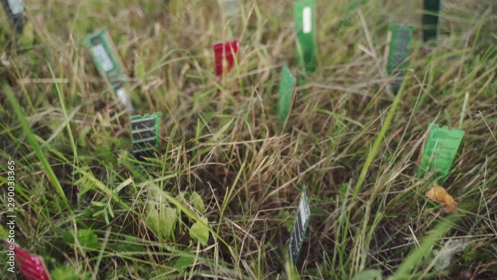 Technology blending with nature. Futuristic concept of farm or e-waste ...