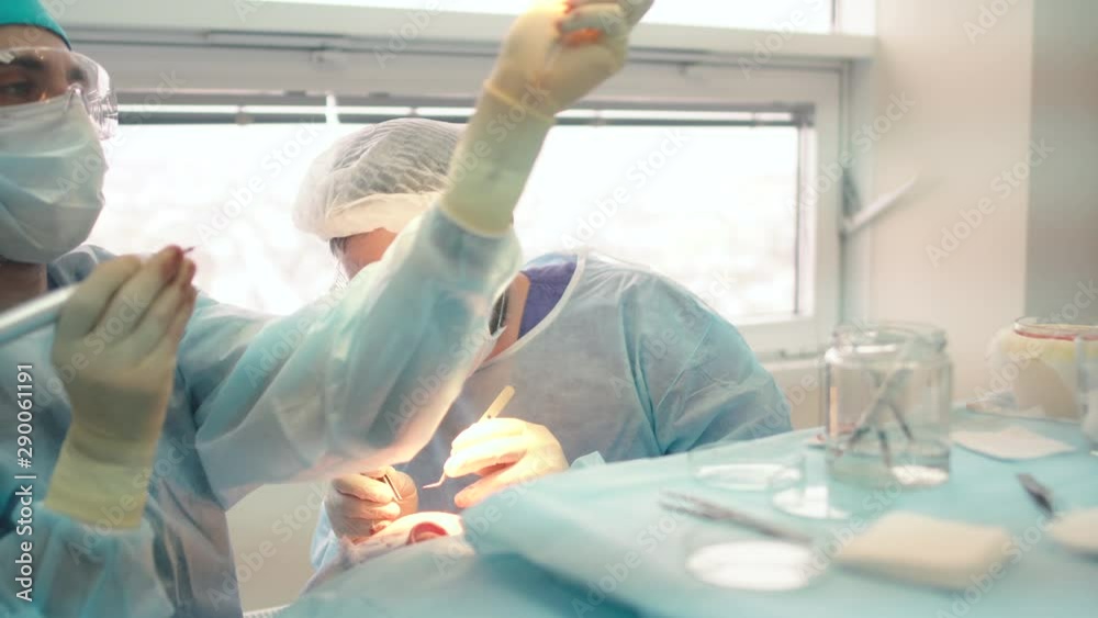 Baldness treatment. Hair transplant. Surgeons in the operating room ...