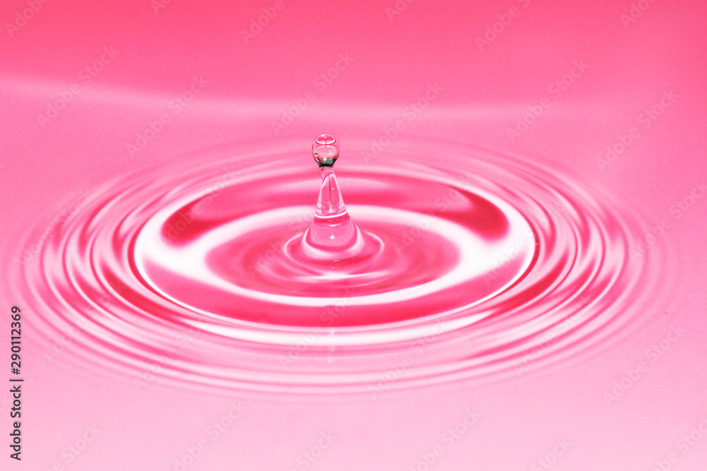 Rosa Las Gotas De Agua