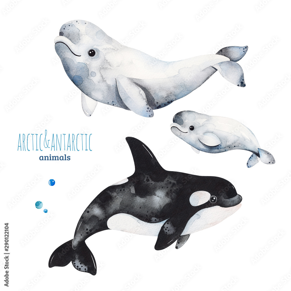 Watercolor set with cute beluga and orca whale.Cartoon arctic and ...