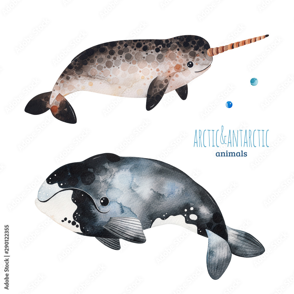 Watercolor set with cute whale and narwhal.Cartoon arctic and antarctic ...