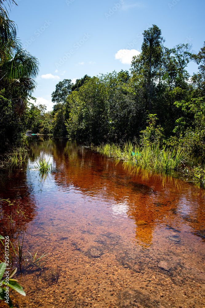 Caño Vitina en Puerto Inirida Guania, fuentes de agua ricas en metal ...