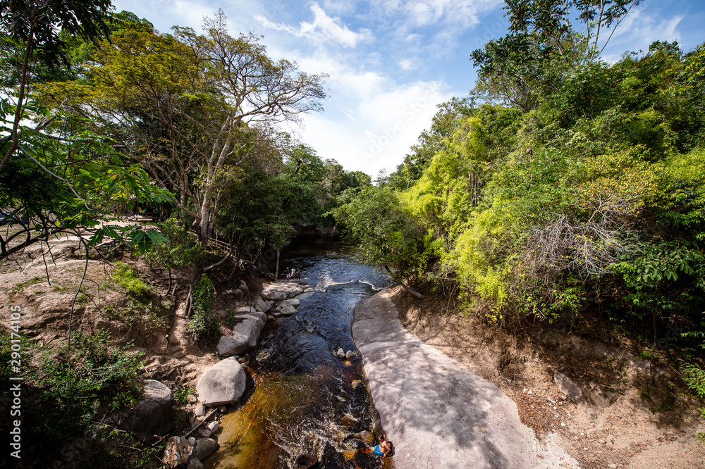 Caños y humedales en las tierras de Puerto Inirida _ Guainia _ Colombia ...