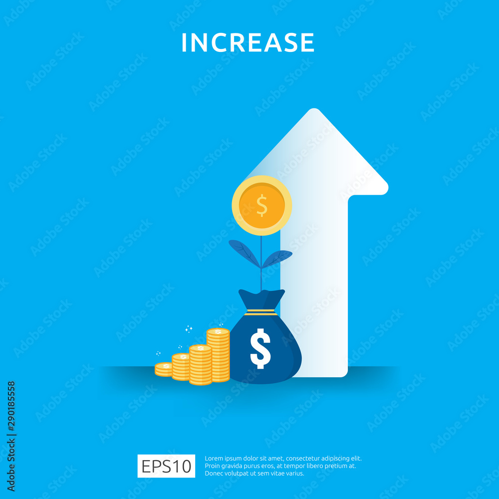 income salary rate increase. business chart graphic growth margin ...