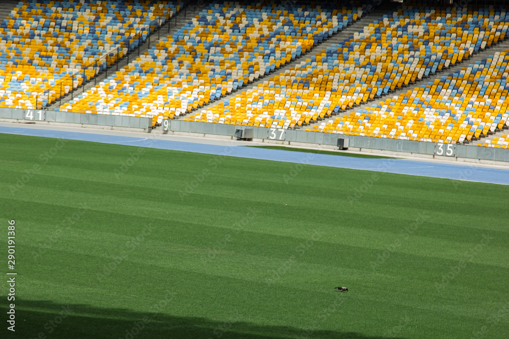soccer stadium inside view. football field, empty stands, a crowd of ...