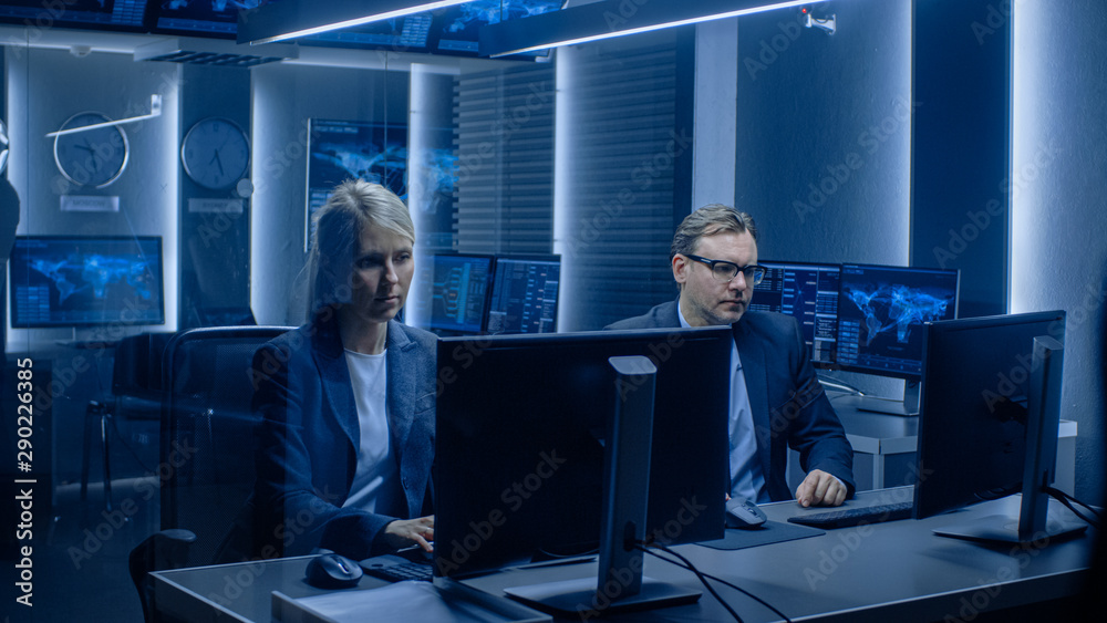 Diverse Team of Corporate Technical Specialists Work on Computers on ...