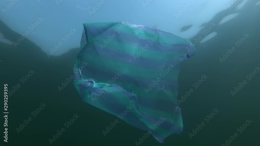 Plastic pollution, striped blue bag swims underwater surface in sunray ...