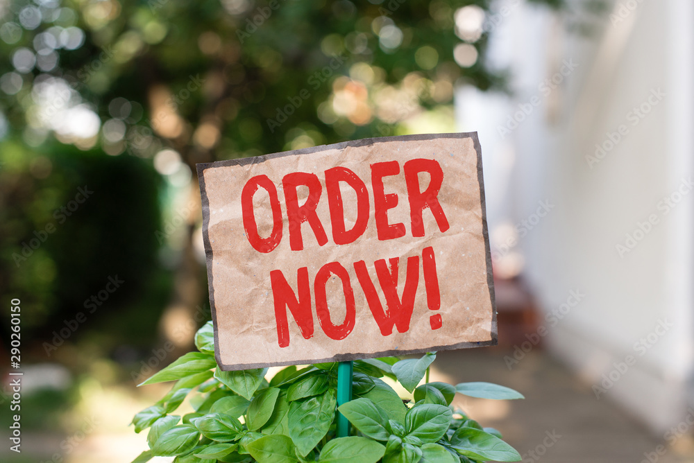 Writing note showing Order Now. Business concept for confirmed request ...